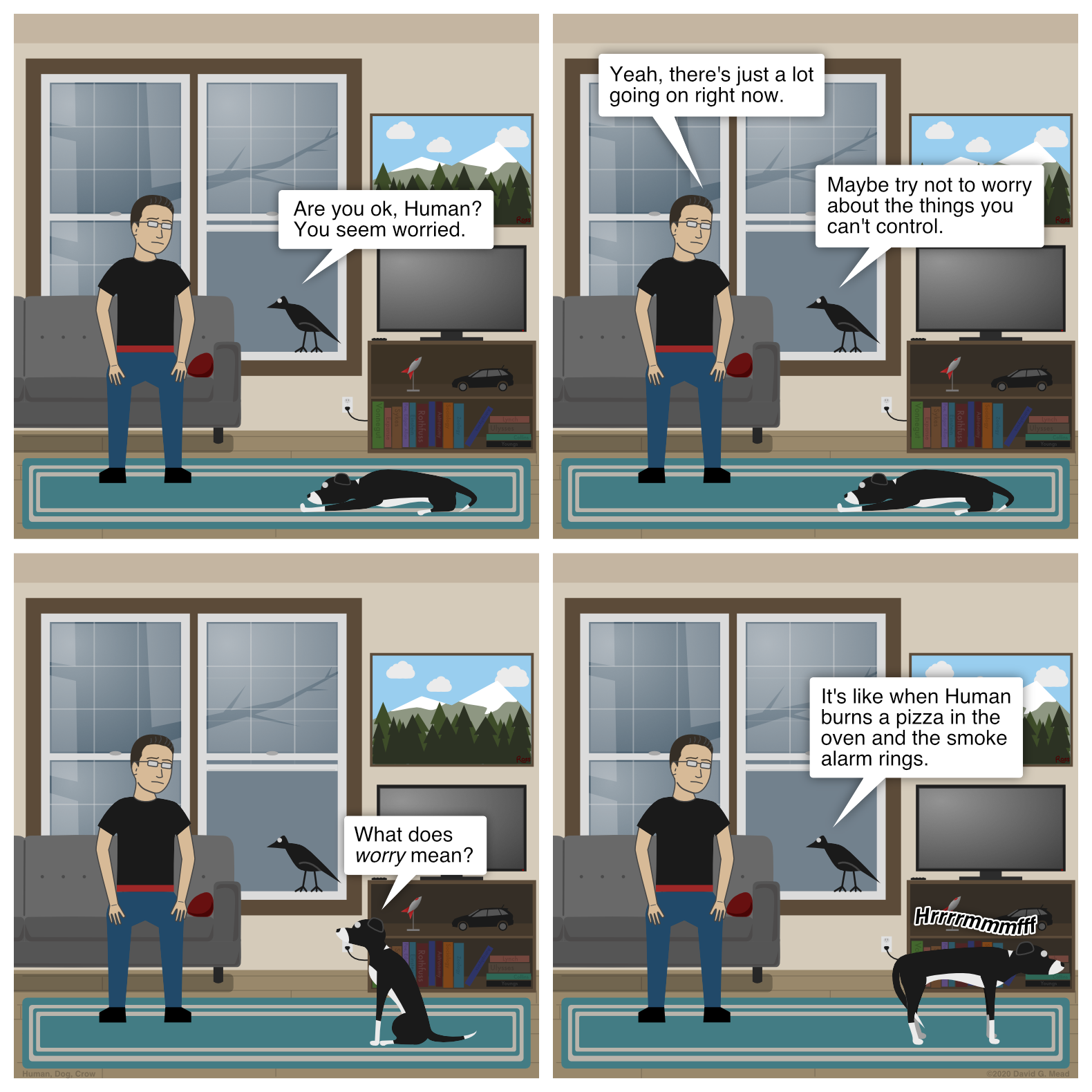 Worry Human Dog Crow Worry Human Dog Crow